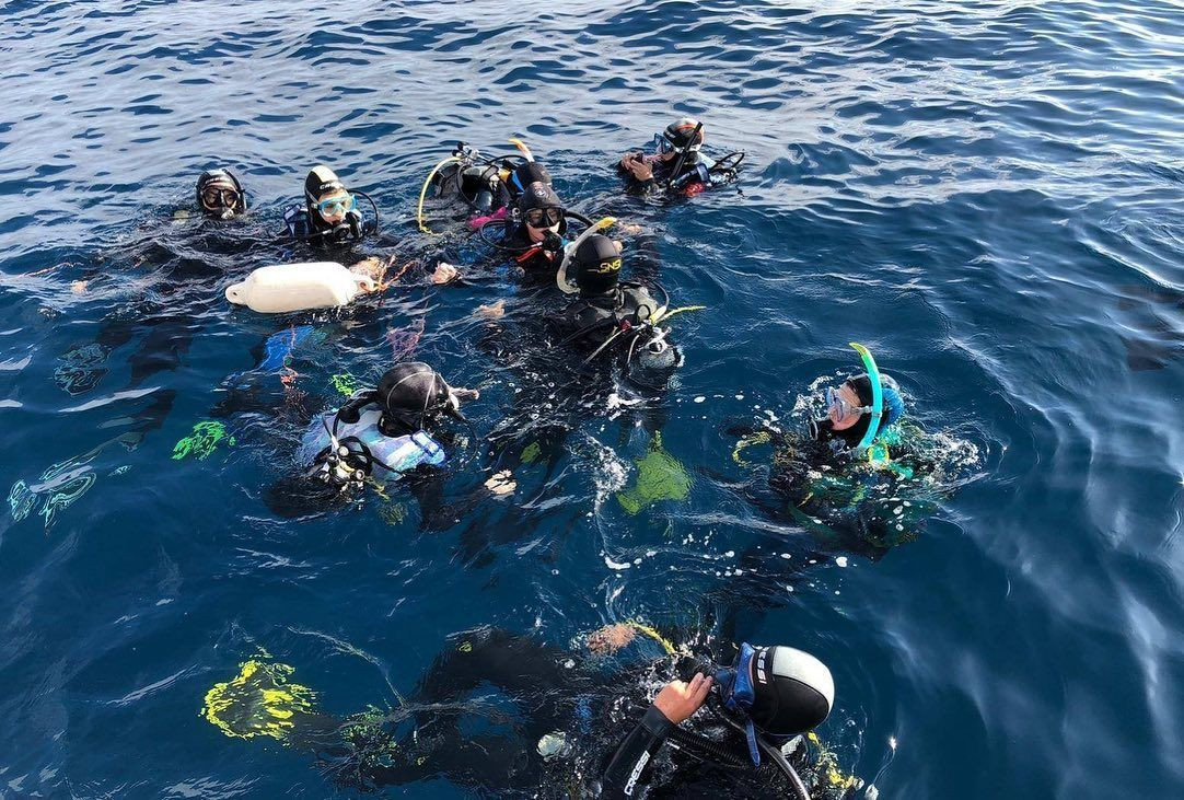 Doppia immersione subacquea all’Isola d’Elba | Freedome