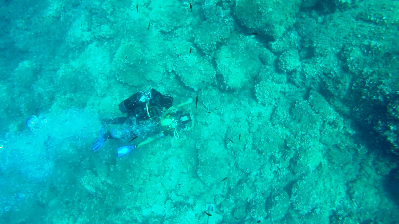 Immersione subacquea “Battesimo del Mare” all’Isola d’Elba | Freedome