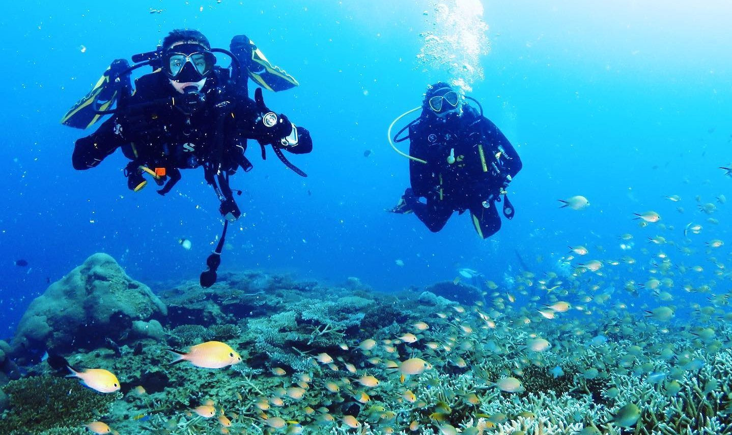Immersione subacquea sui fondali nascosti dell’Isola d’Elba | Freedome