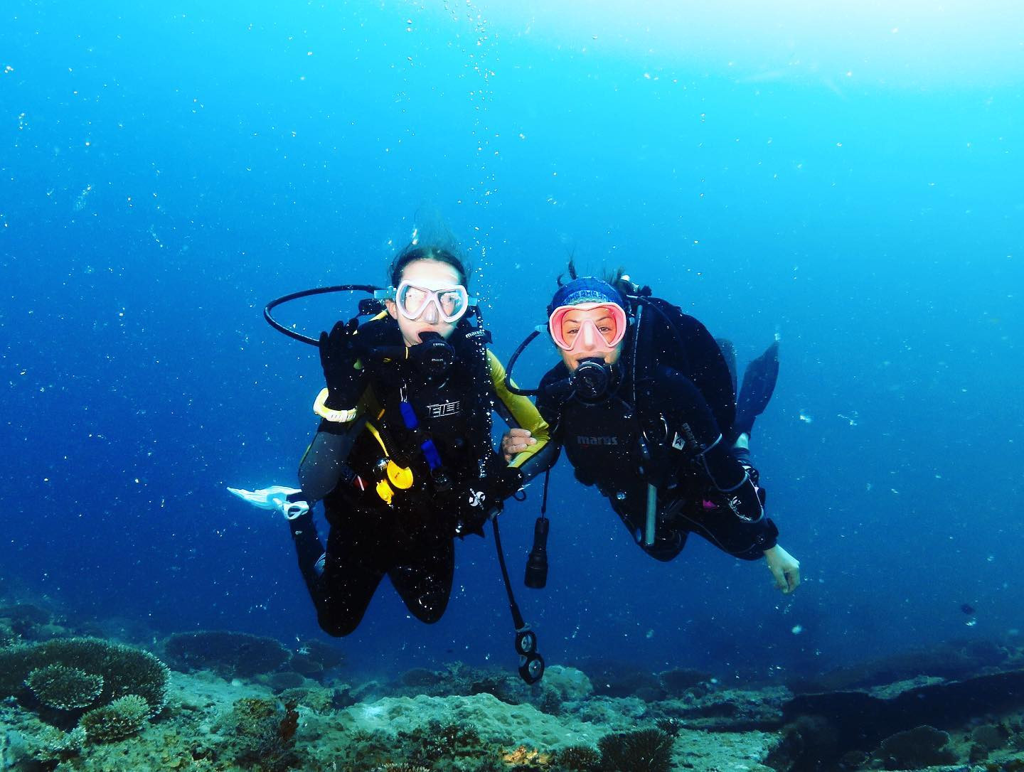 Immersione subacquea sui fondali nascosti dell’Isola d’Elba | Freedome