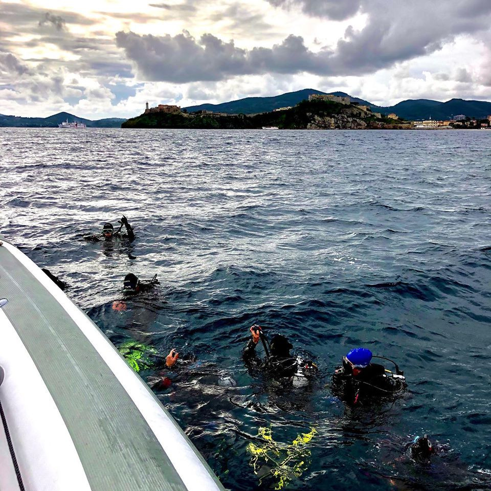 Immersione subacquea per principianti all’isola d’Elba | Freedome