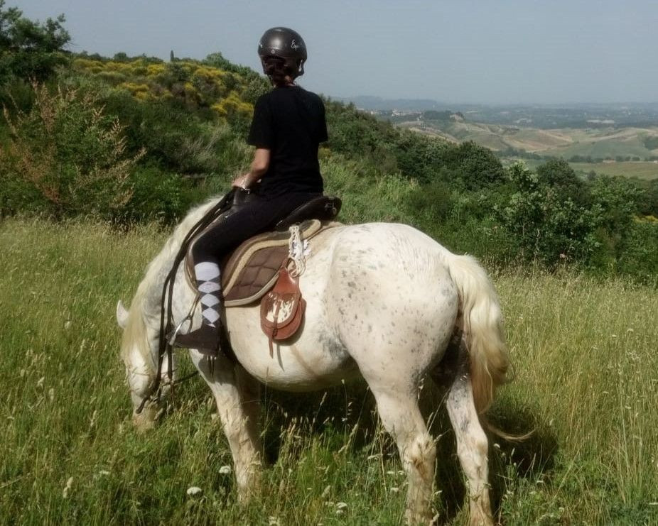 Passeggiata a cavallo per esperti alla Torre di Matilda da Casciana Terme Lari | Freedome